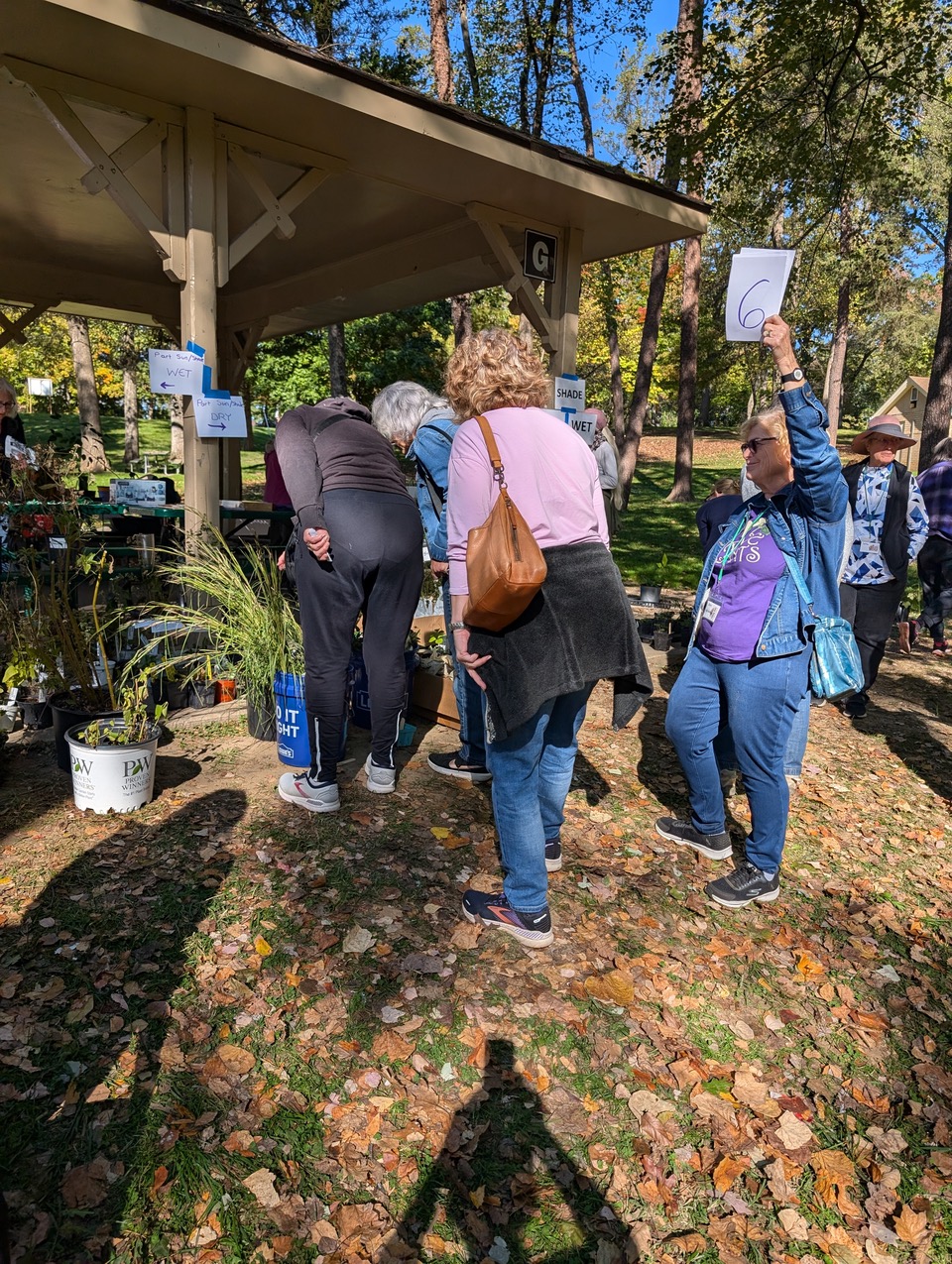 Plants, Food and Friends @ Second plant swap of 2024! - Wild Ones ...